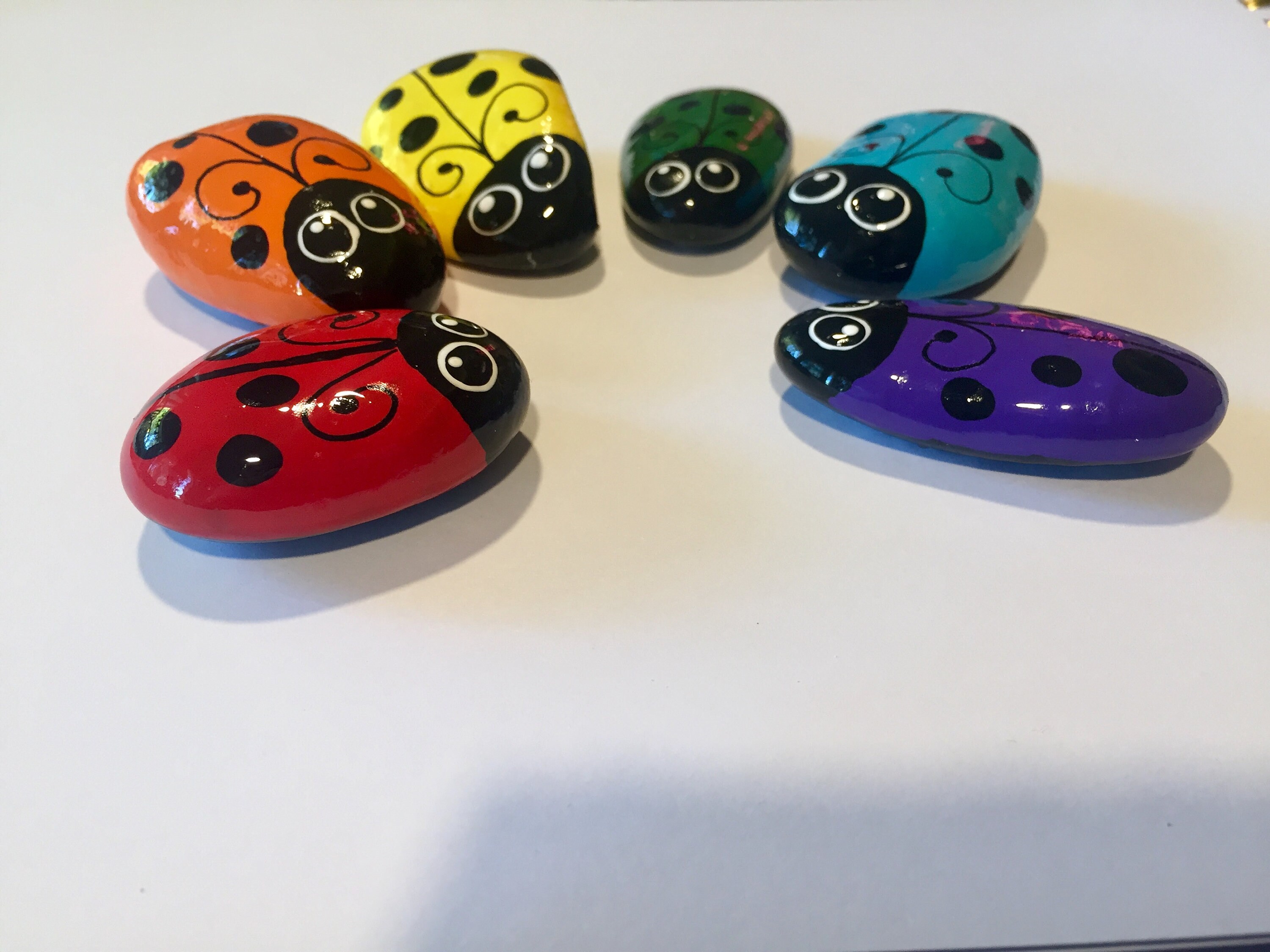 6 small painted rainbow ladybugs garden decoration kindness - Etsy.de