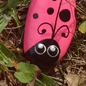 10 Little 1 Inch Pink Painted Ladybug Garden Stone Fairy Garden ...