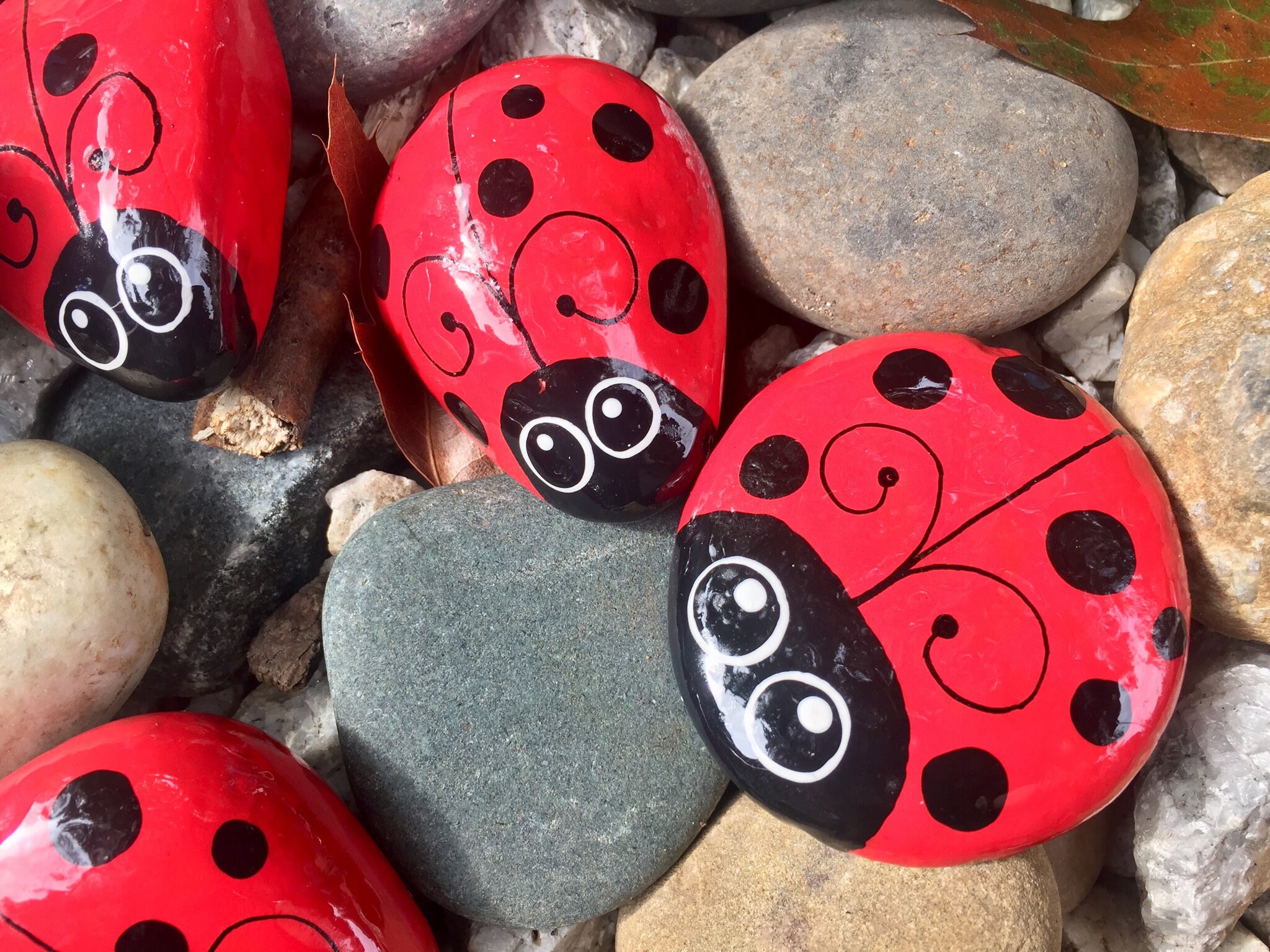 10 Large 3 1/2 to 4 Inch Red Ladybug Rocks, Garden Decor, Ladybug ...