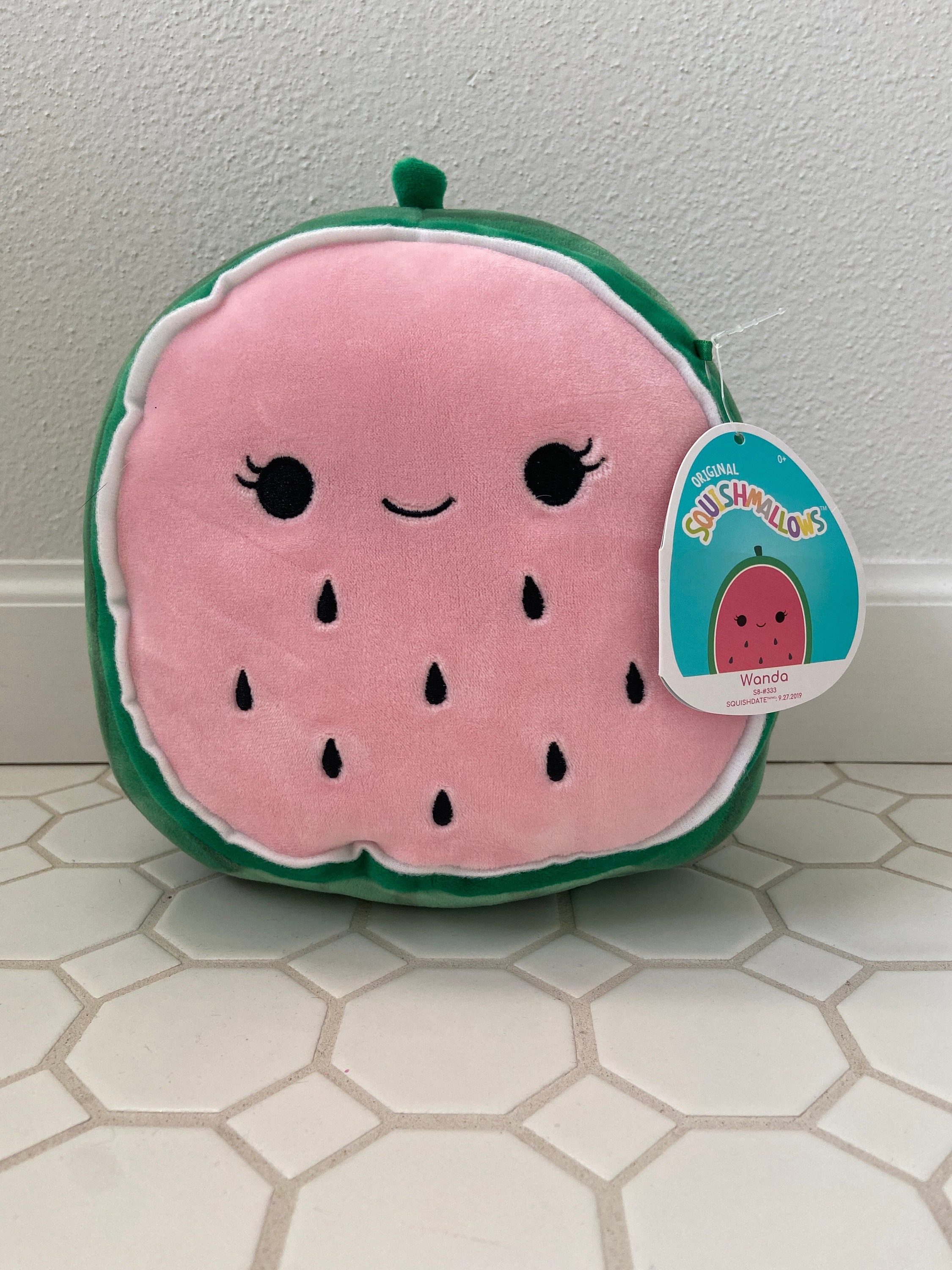 Custom Squishmallows Wilhelmina the Watermelon Frog 7” Stuffed Plush ...