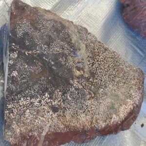 1 Lb. Dinosaur Bone Slab Gem Bone Agatized Silicated Dinosaur Bone Gem ...