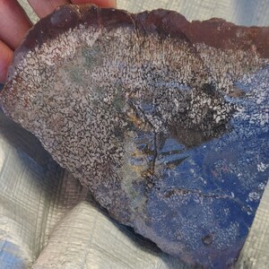 1 Lb. Dinosaur Bone Slab Gem Bone Agatized Silicated Dinosaur Bone Gem ...