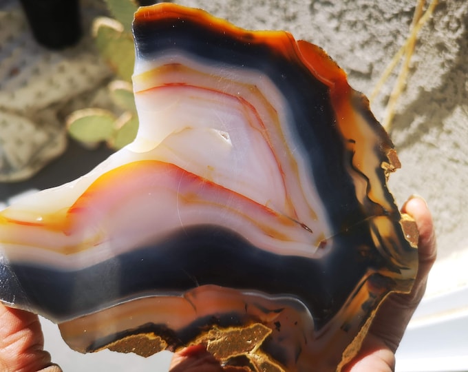 Brazilian Agate With Inclusions, a Quartz Pocket and a Bold Mix of ...