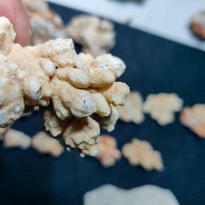 Cave Onyx Slices & Specimens Cave Popcorn Kokoweef Stalactites ...
