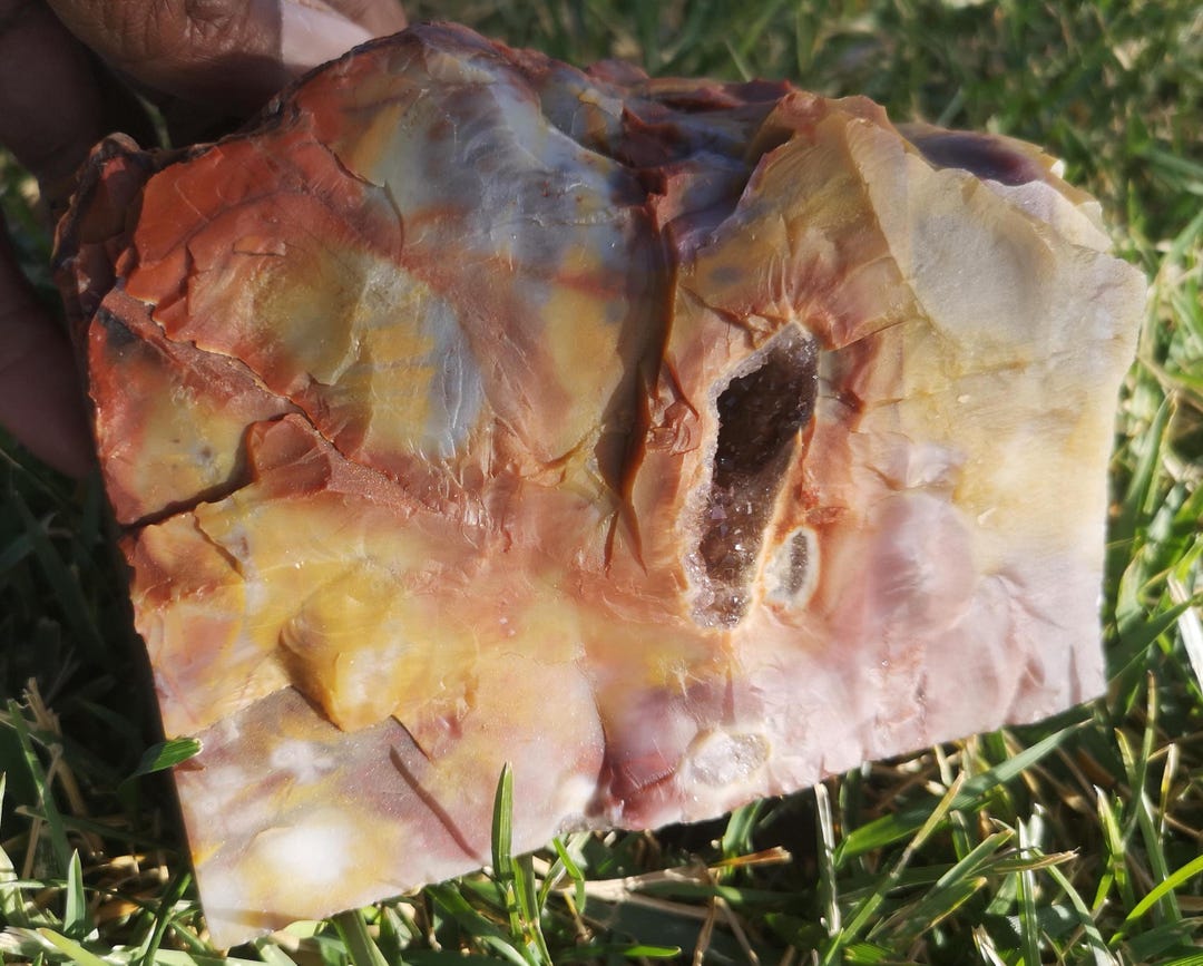 Rainbow Petrified Wood Free Form, Mix of Hues, Has a Rare Amethyst ...
