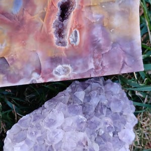 Rainbow Petrified Wood Free Form, Mix of Hues, Has a Rare Amethyst ...