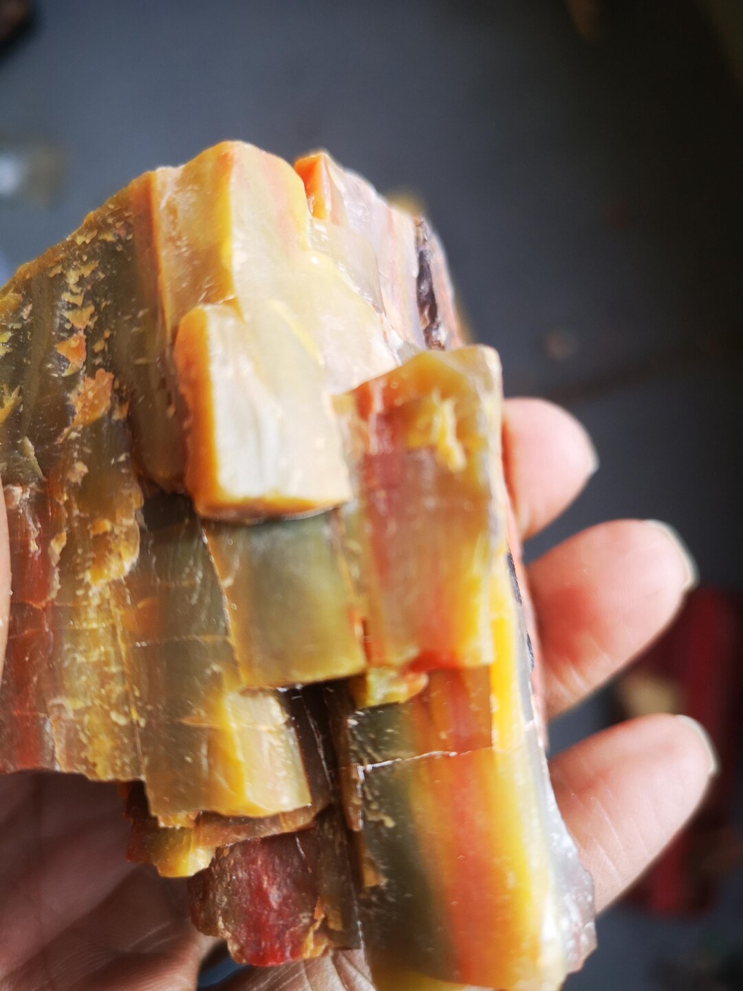 Rainbow Petrified Wood Partial Specimen Some Rind/bark Texture - Etsy