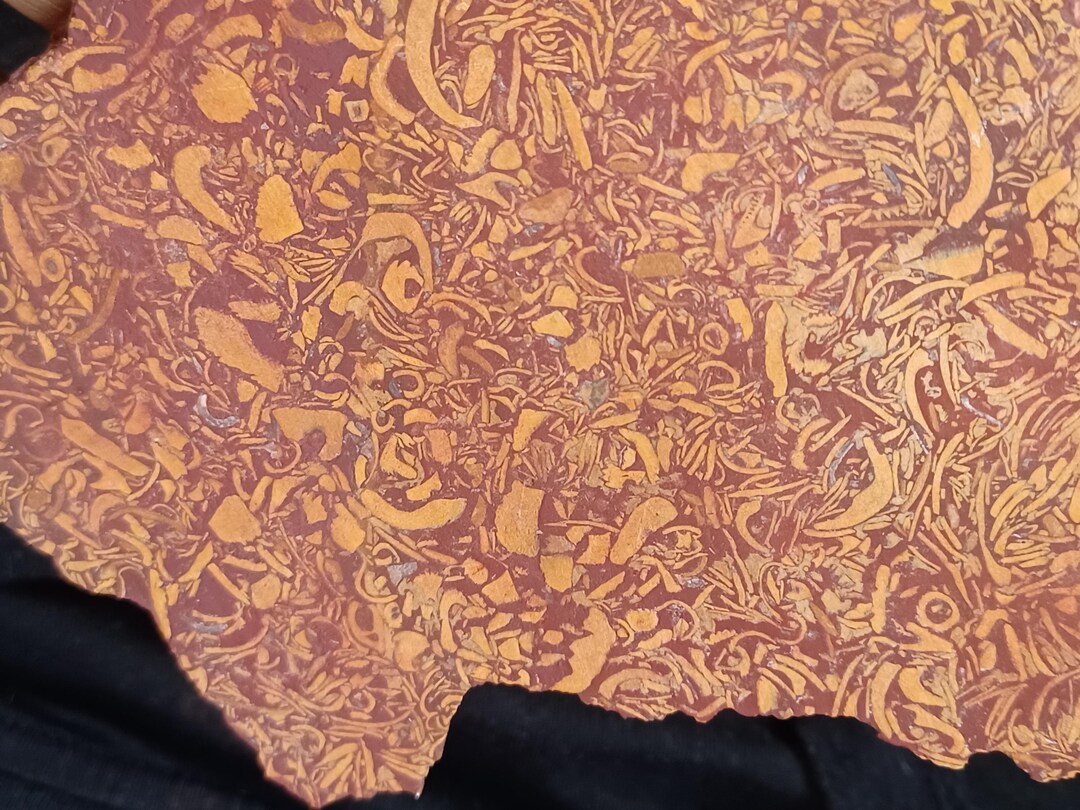 Script Stone Coquina Jasper End Cut - Etsy