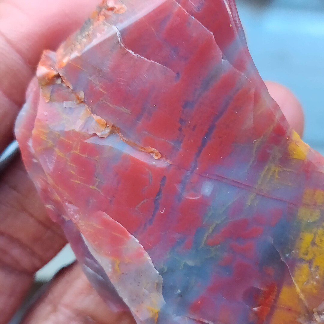 Arizona Rainbow Petrified Wood Pocket Rock, Stone - Tranquility on the ...