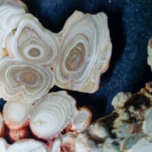Cave Onyx Slices & Specimens Cave Popcorn Kokoweef Stalactites ...