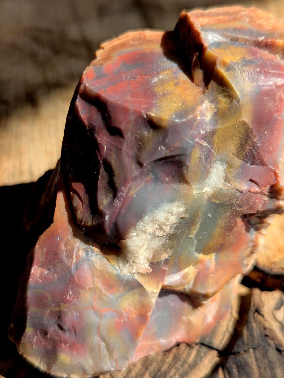 Rainbow Petrified Wood Specimen | Deep Colors & Natural Texture ...