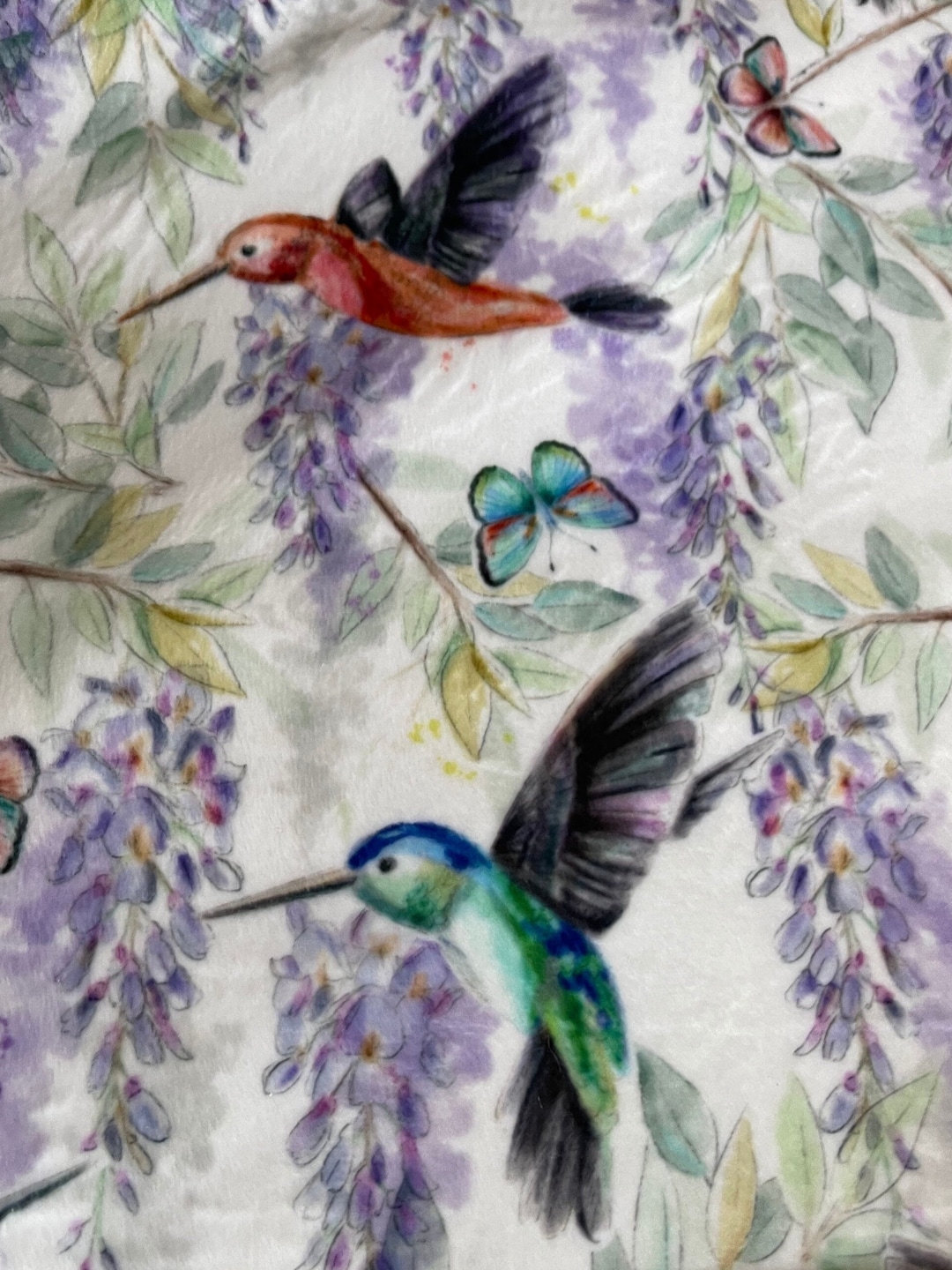 Hummingbird Fabric, Soft Minky Fabric, Velvety Soft Fabric, Floral ...