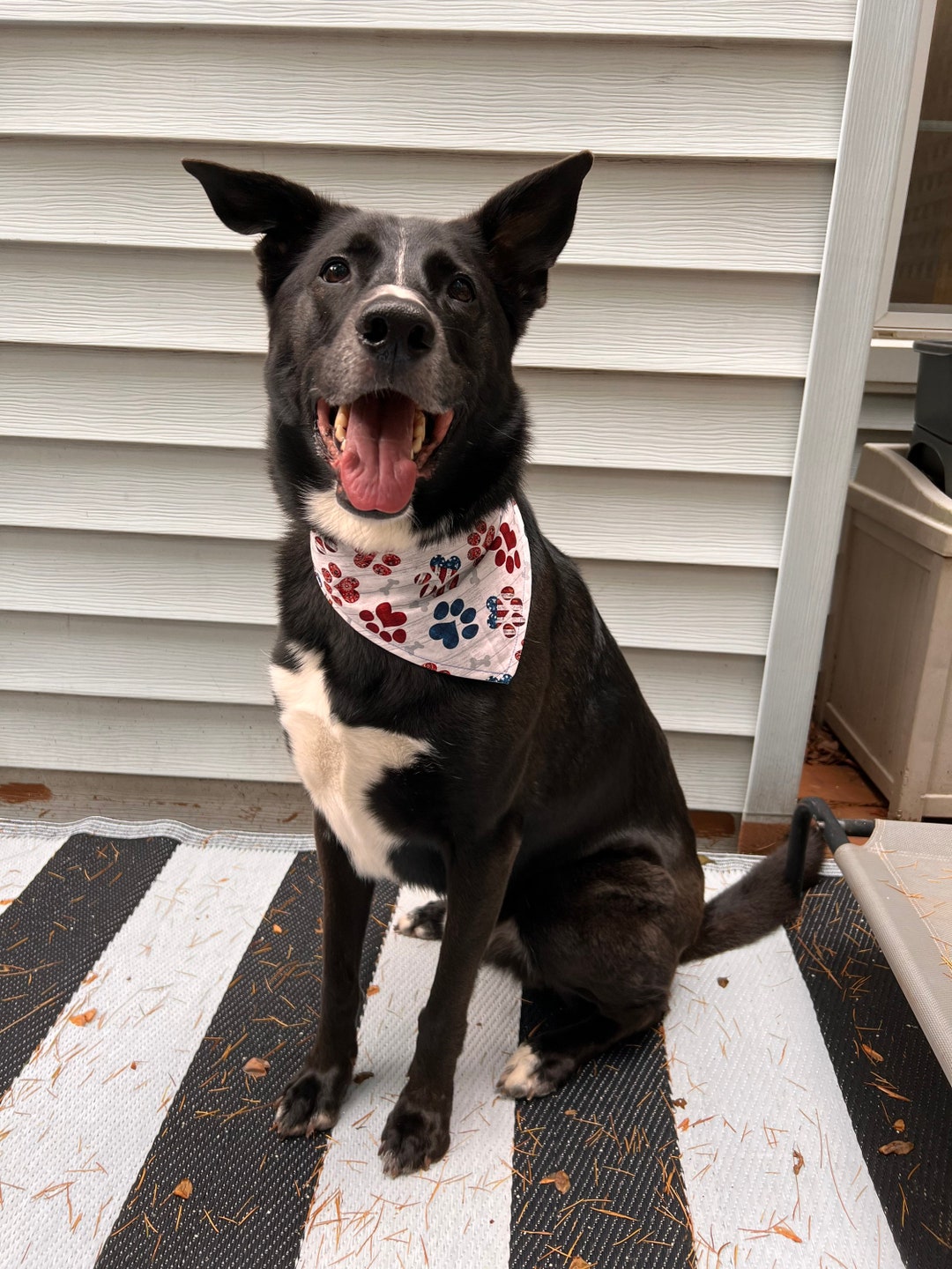 Snap on Dog Bandana - Etsy