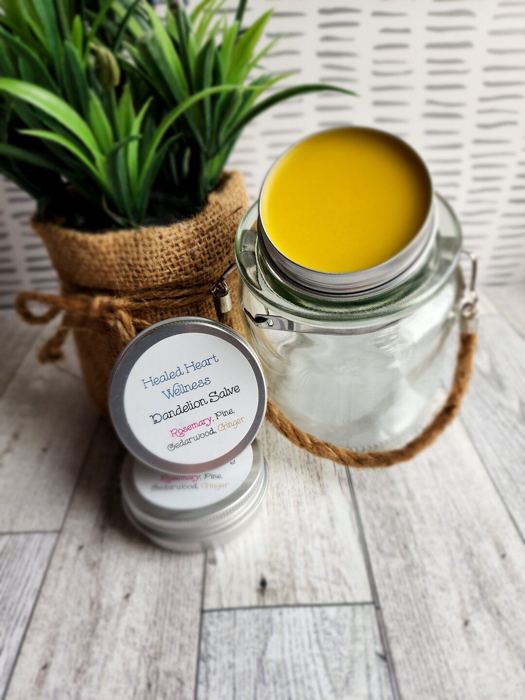 Dandelion Salve Cut Burn Sting Bite Salve Natural Dandelion Salve ...