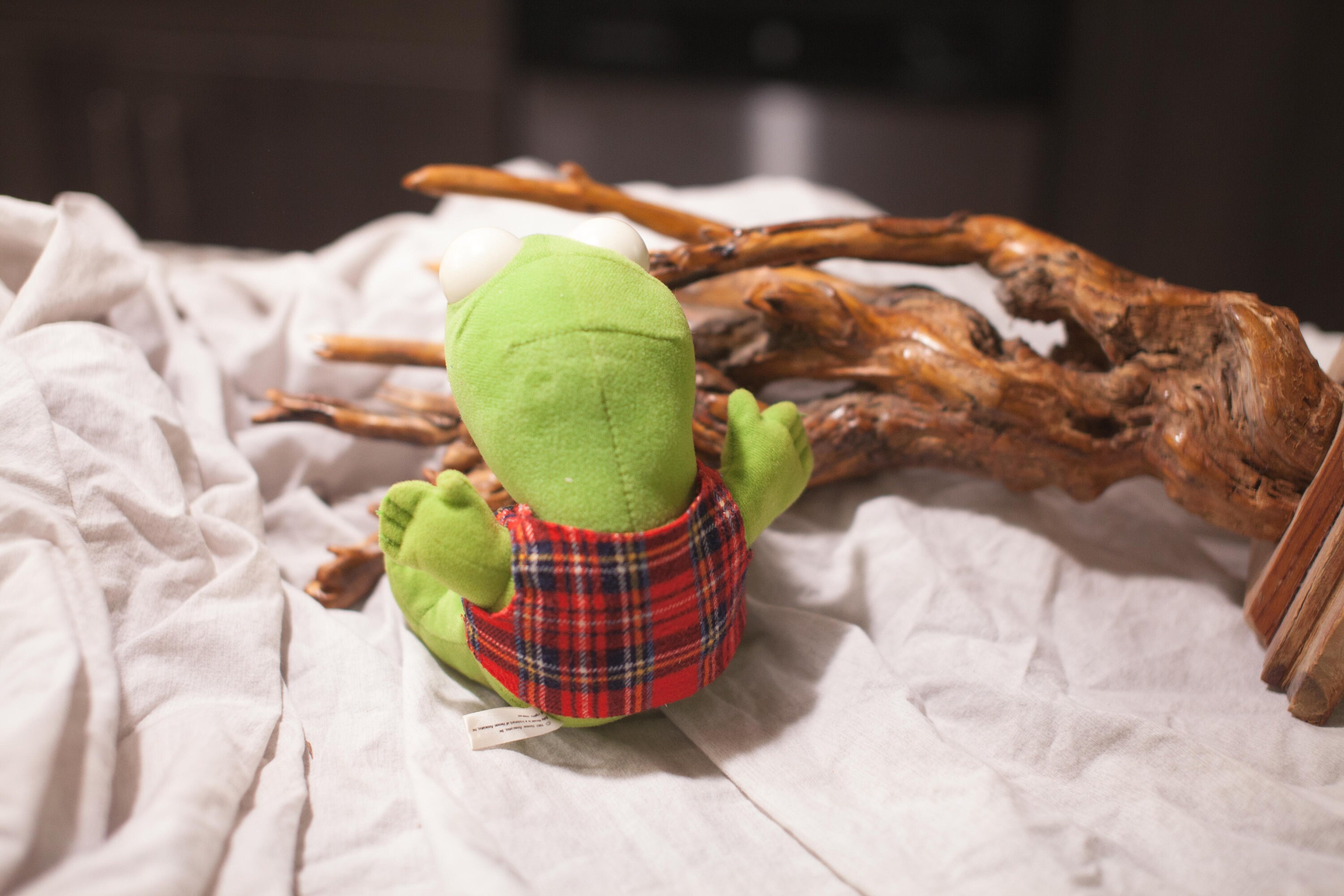 Small Kermit the Frog Plushie - Etsy