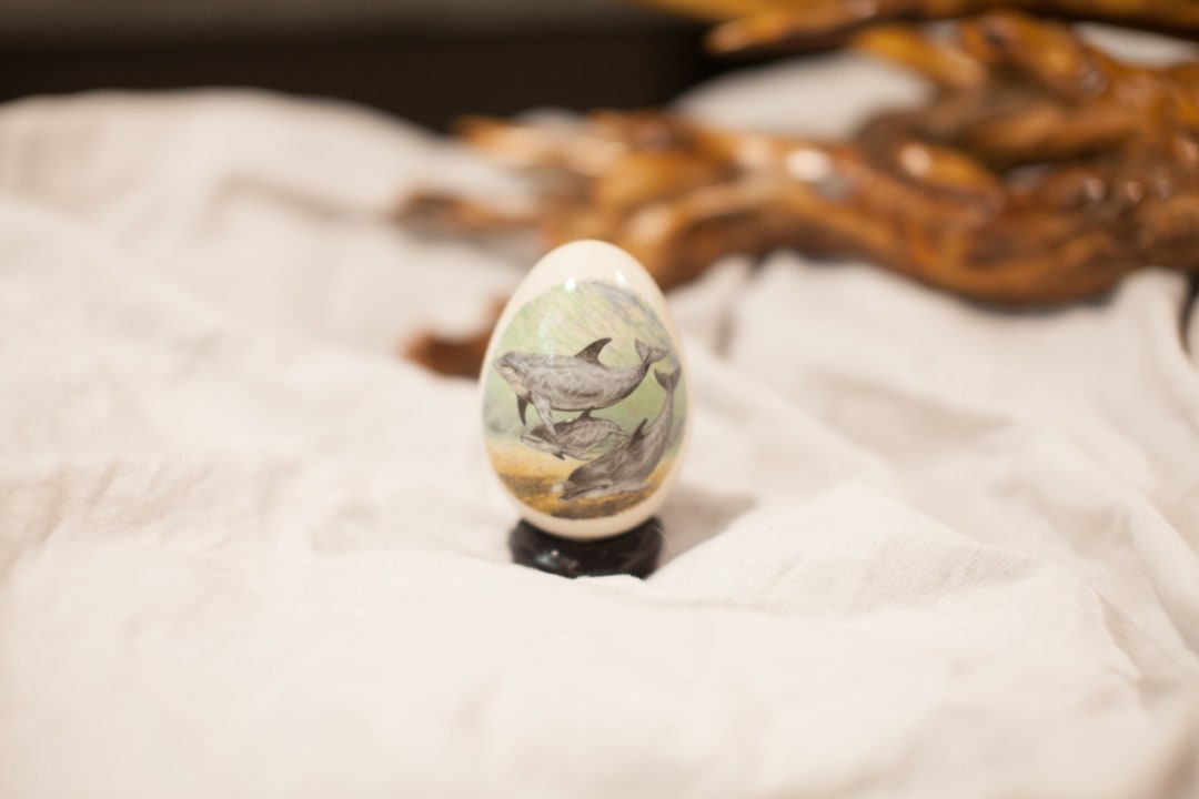 Dolphin Art on Egg With Stand - Etsy