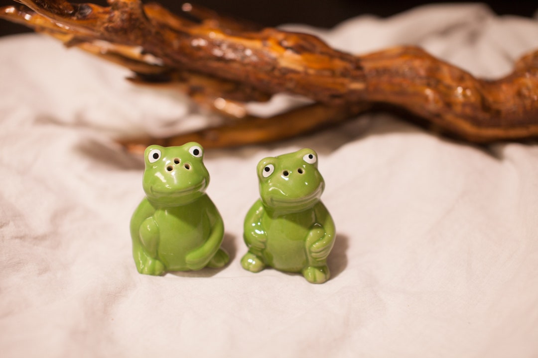 Chunky Frog Salt and Pepper Shakers - Etsy