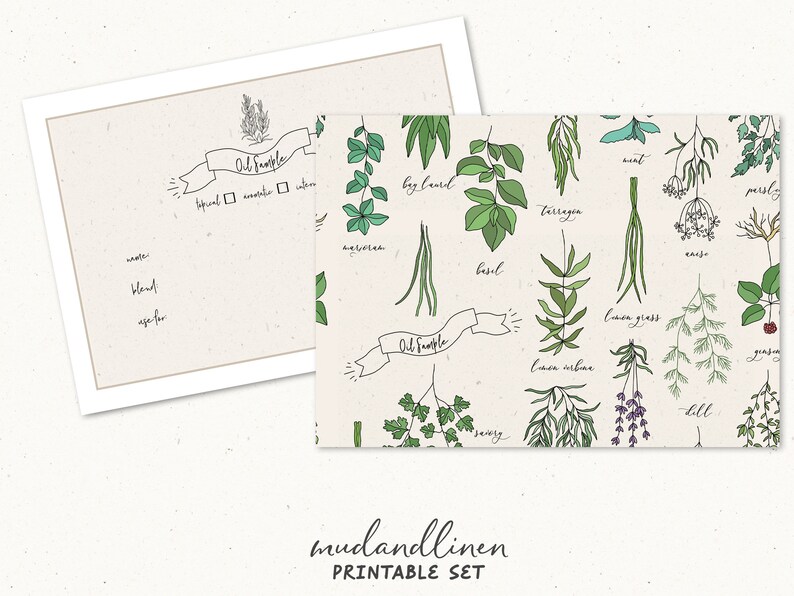 Oil Sample Postcard Essential Oil Printable Make and Take - Etsy