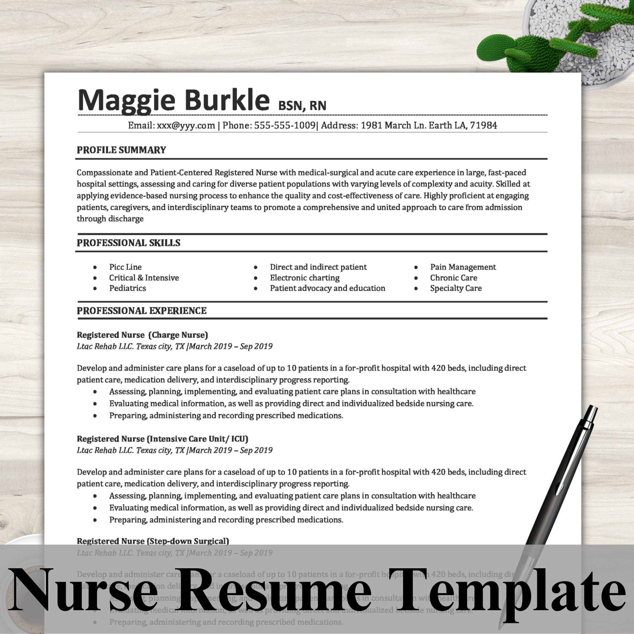 Nurse Resume Template Nurse CV Template BSN Nurse Template Resume One ...