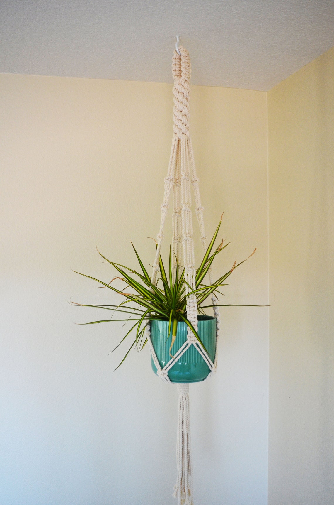 Heavy Duty Macrame Plant Hanger Jane | Etsy