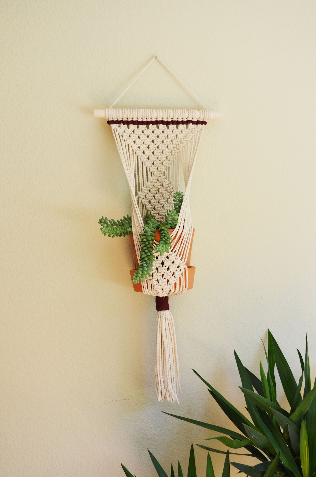 Macramé Wall Hanging Plant Holder - Eve - Etsy