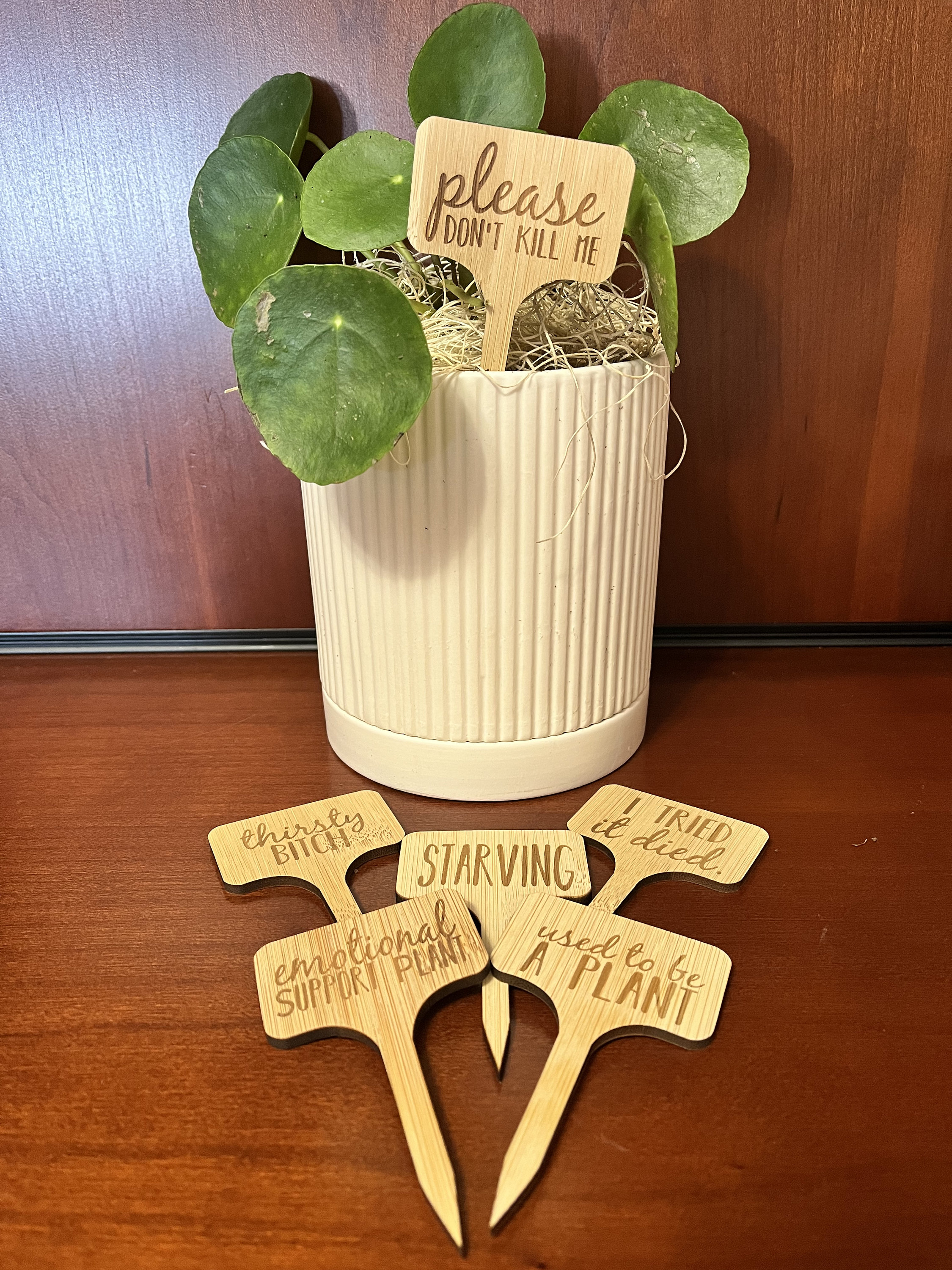 Funny Plant Signs - Etsy