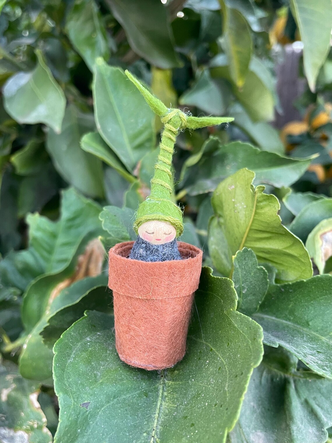 Custom Waldorf Inspired Potted Sprout Doll - Etsy