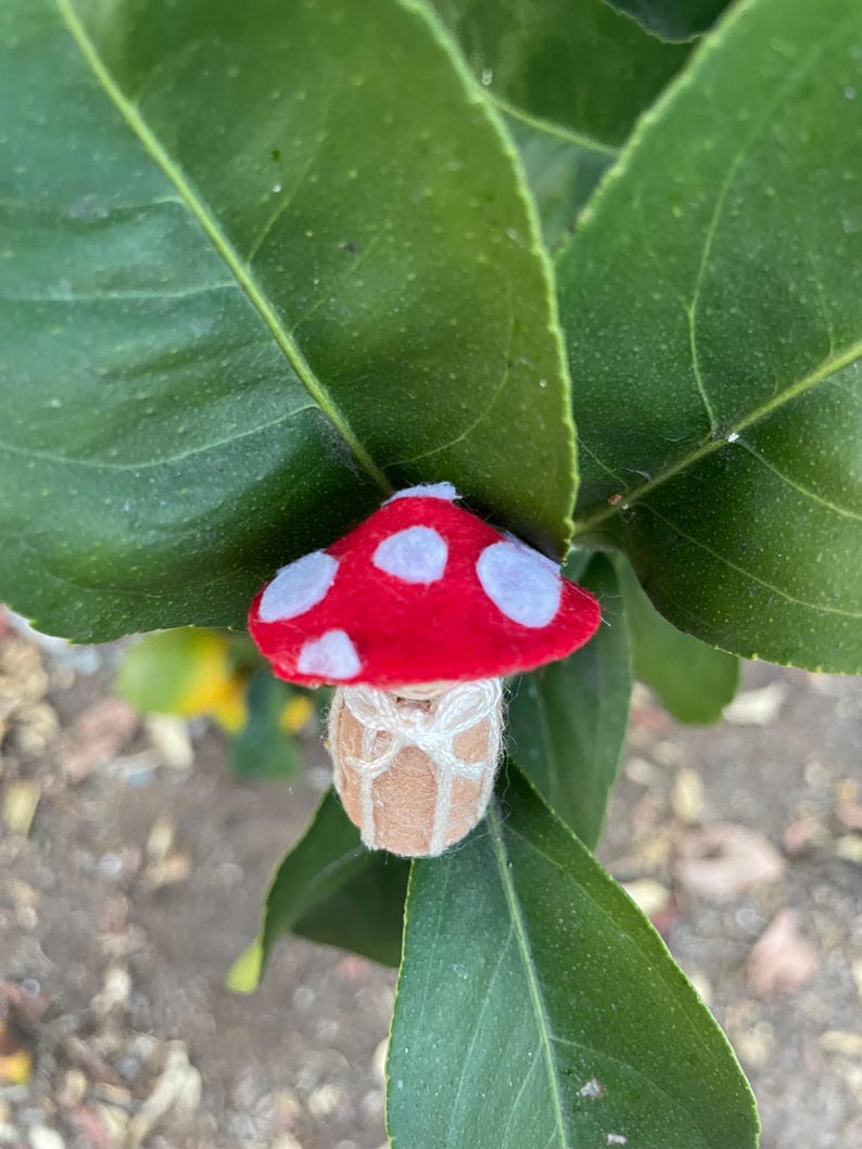 Custom Waldorf Inspired Mushroom Peg Doll - Etsy