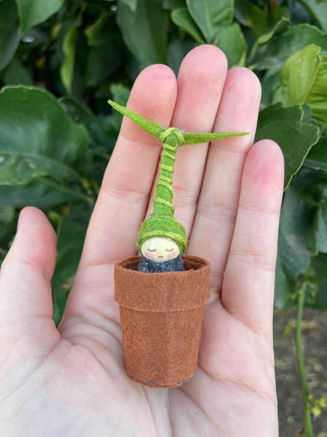 Custom Waldorf Inspired Potted Sprout Doll - Etsy