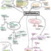 Comprehensive Antibiotics Microbiology Mind Map - Illustrated Study ...