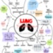 Comprehensive Lung Pathology Pulmonary Diseases Study Notes ...