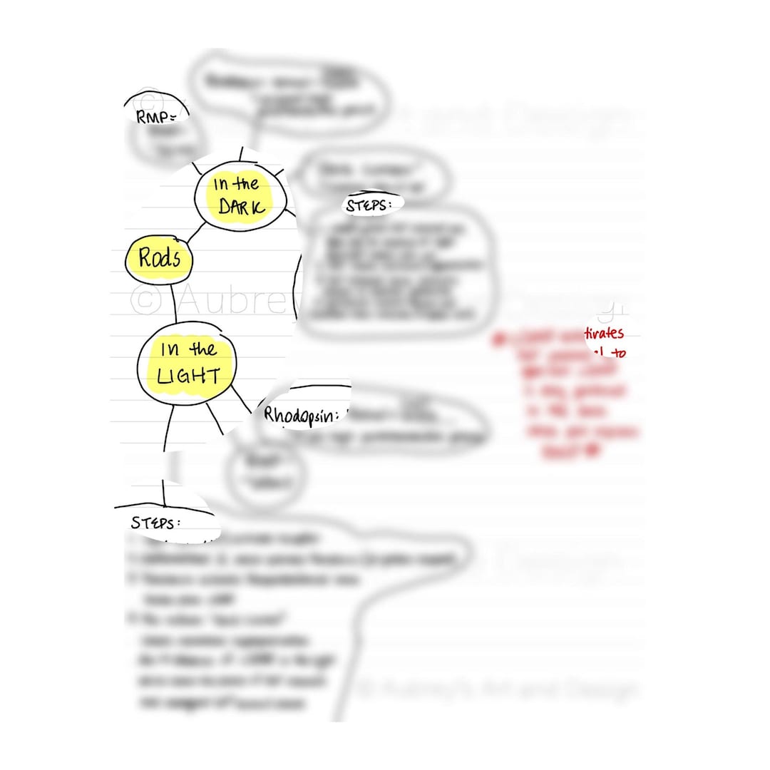 Detailed Rods of the Eyes Mind Map With High-quality Illustrations ...