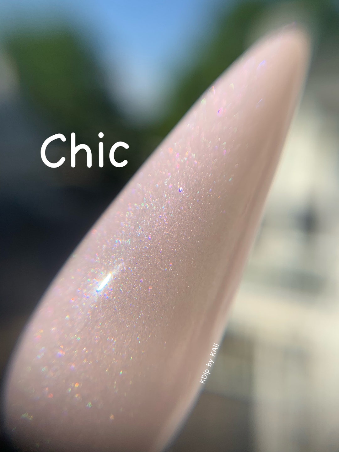 Chic Dip Powder Nail Dip Powder Winter Dip Powder Dip - Etsy