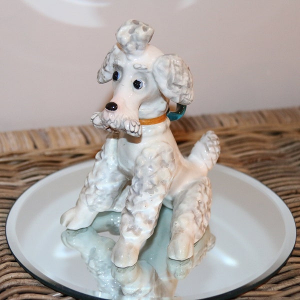 Spaghetti Dog - Etsy