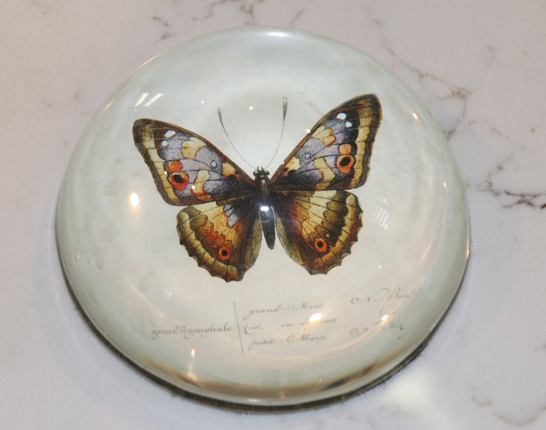 Lovely Vintage Glass Butterfly Paperweight Home Office Desk Decor ...