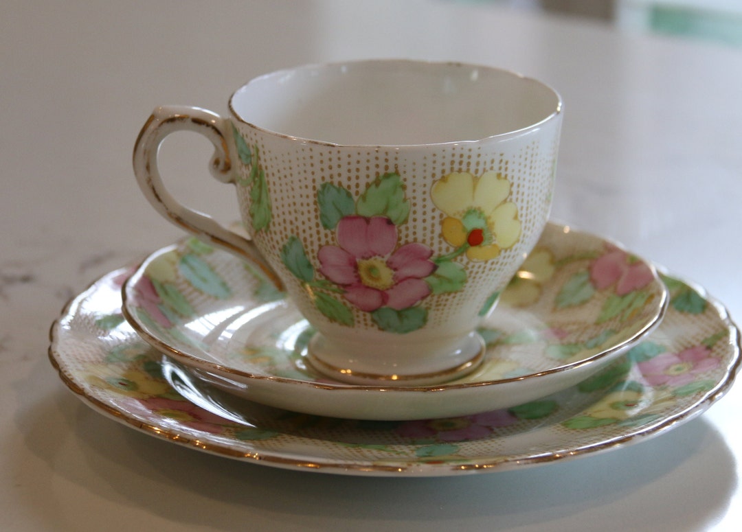 Gorgeous Vintage Tuscan Plant Floral Teacup Trio Set - Pastel Pink ...