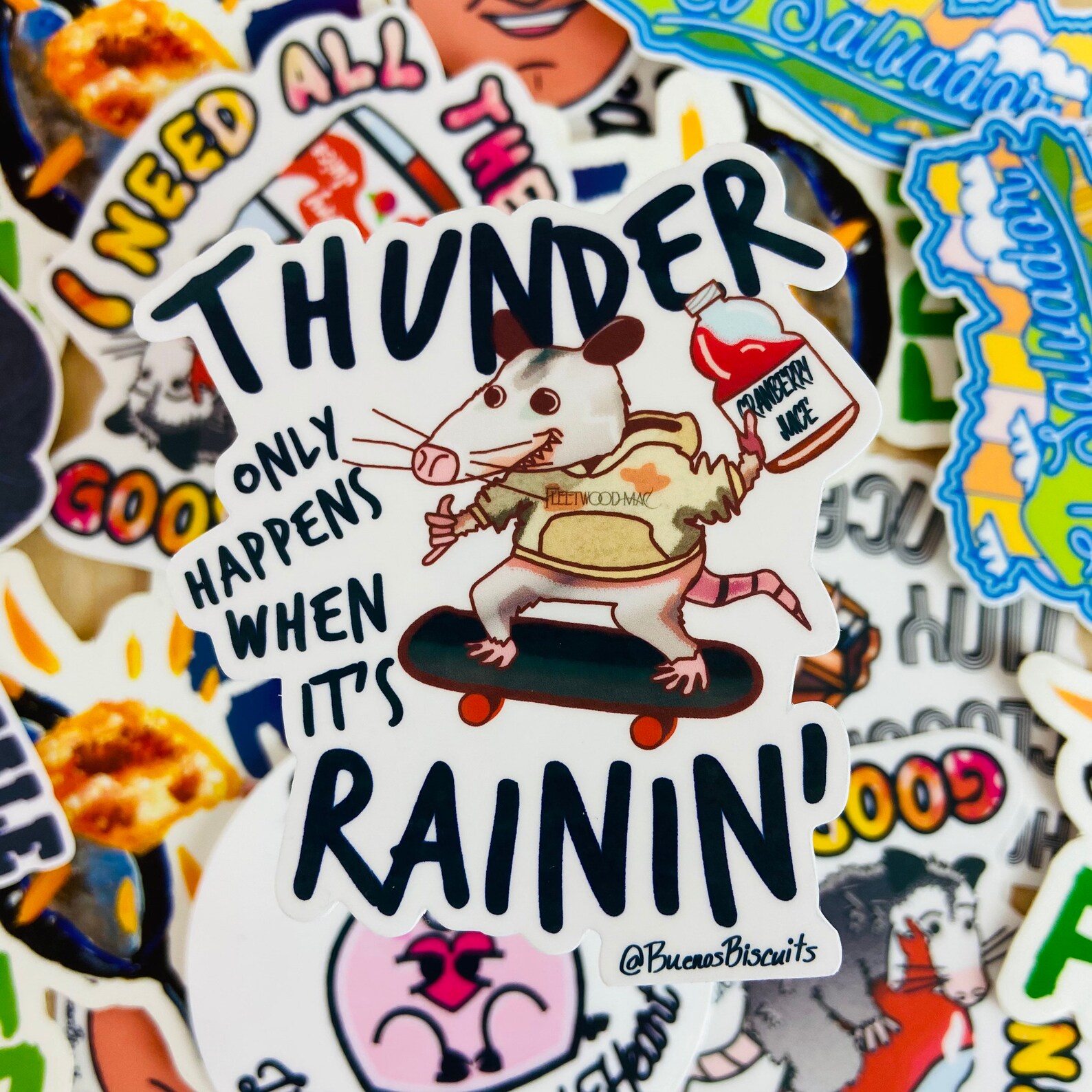 Singing Possum Fleetwood Mac Cranberry Juice 3 Sticker Dreams - Etsy