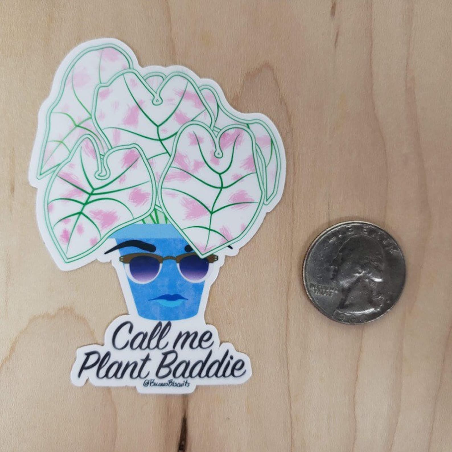 Plant Baddie Sticker 3” Water Resistant Caladium House Plants - Etsy