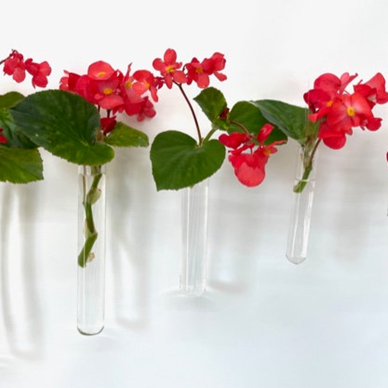 Test Tube Vase - Etsy