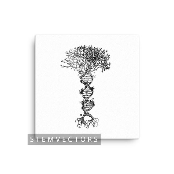 Dna Tree Drawing