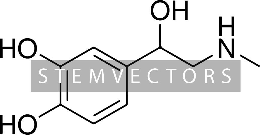 Norepinephrine Chemical Structure (digital Download) Black and White ...