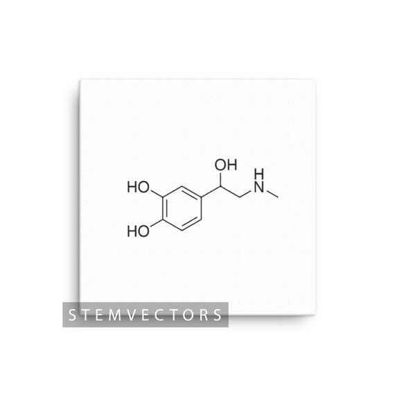 Norepinephrine Chemical Structure digital Download Black and | Etsy