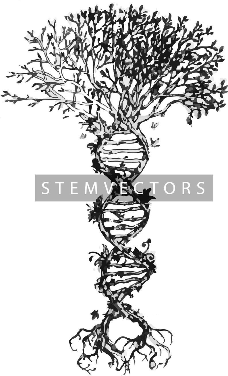 DNA Strand Tree digital Download Black and White Vector Clip Art ...