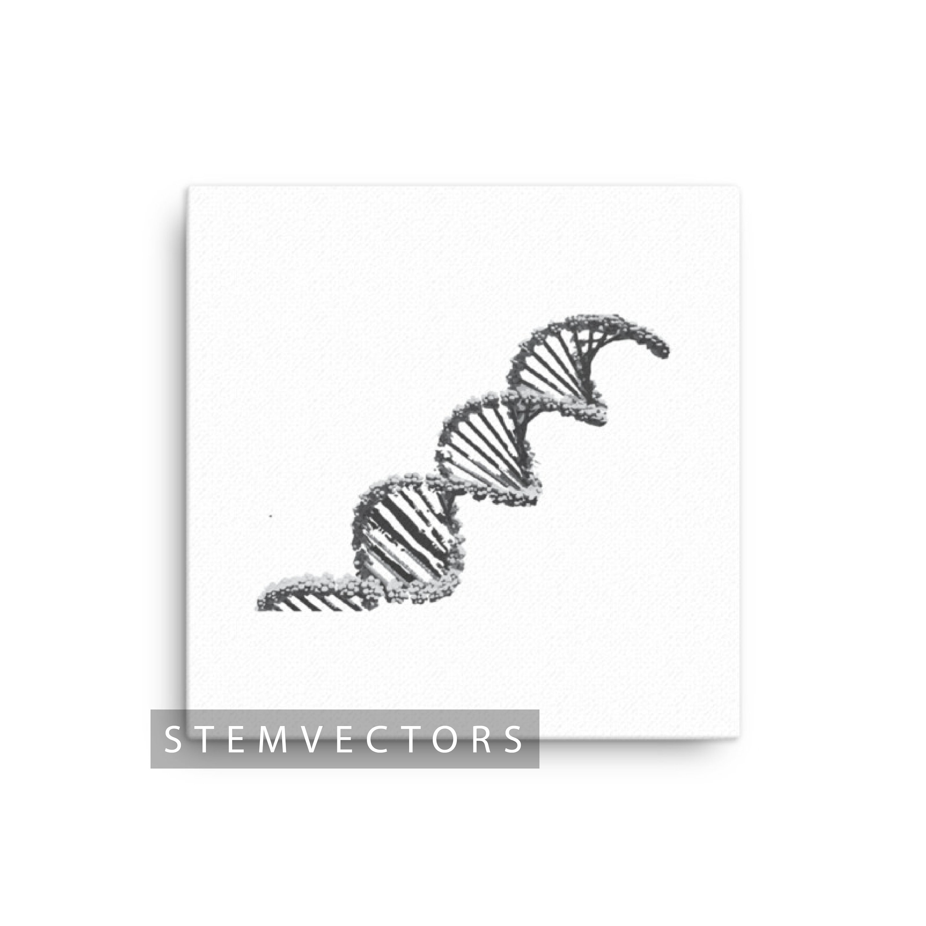 Dna Strand Drawing