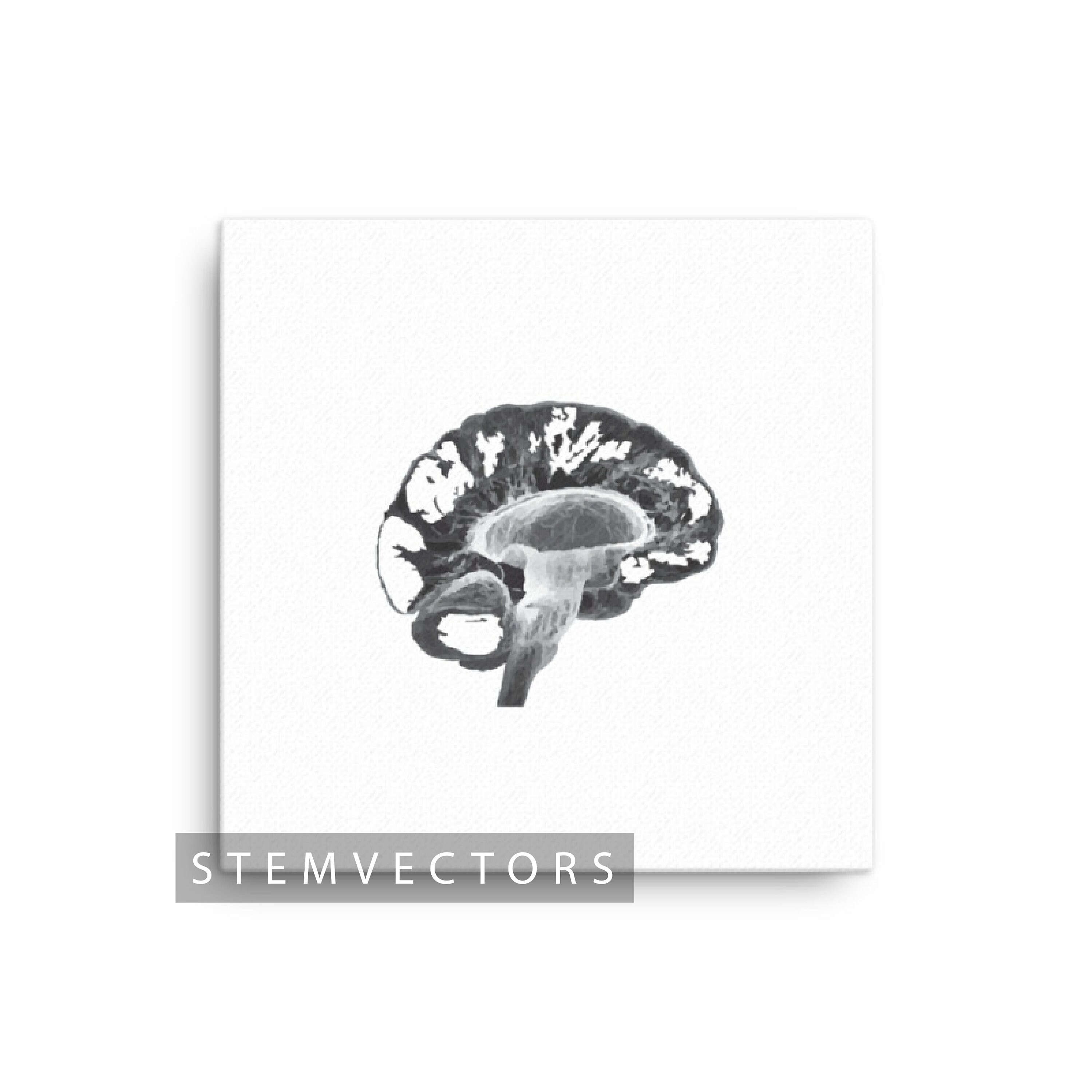 Brain Cross-section digital Download Black and White Vector - Etsy