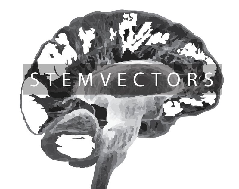 Brain Cross-section digital Download Black and White Vector - Etsy