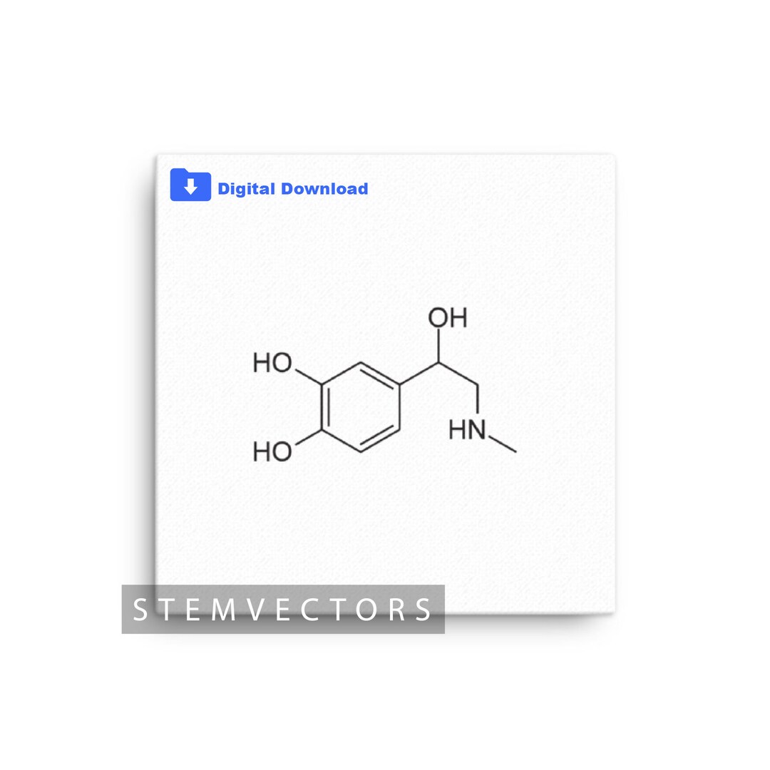 Epinephrine Chemical Structure (digital Download) Black and White ...