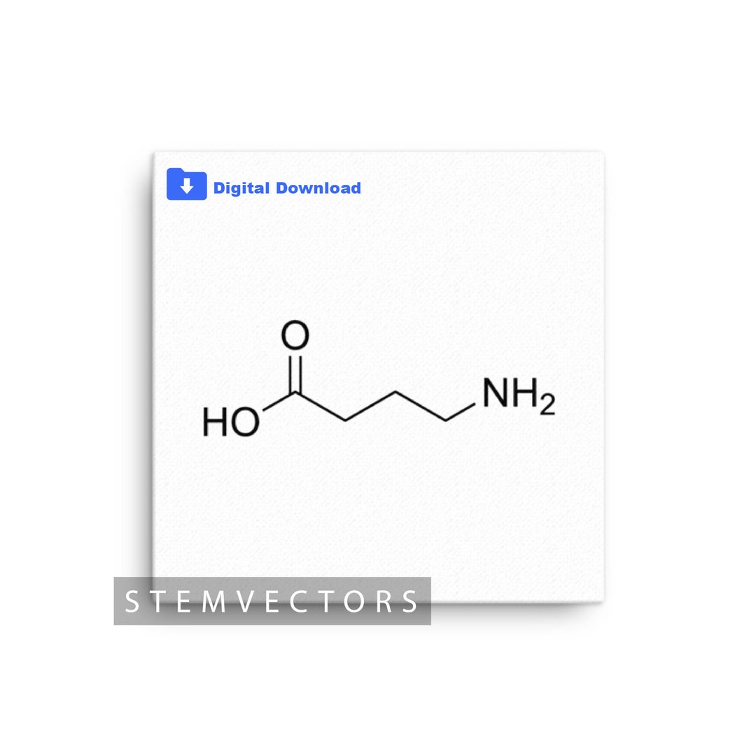 GABA Chemical Structure (digital Download) Black and White Vector Clip ...