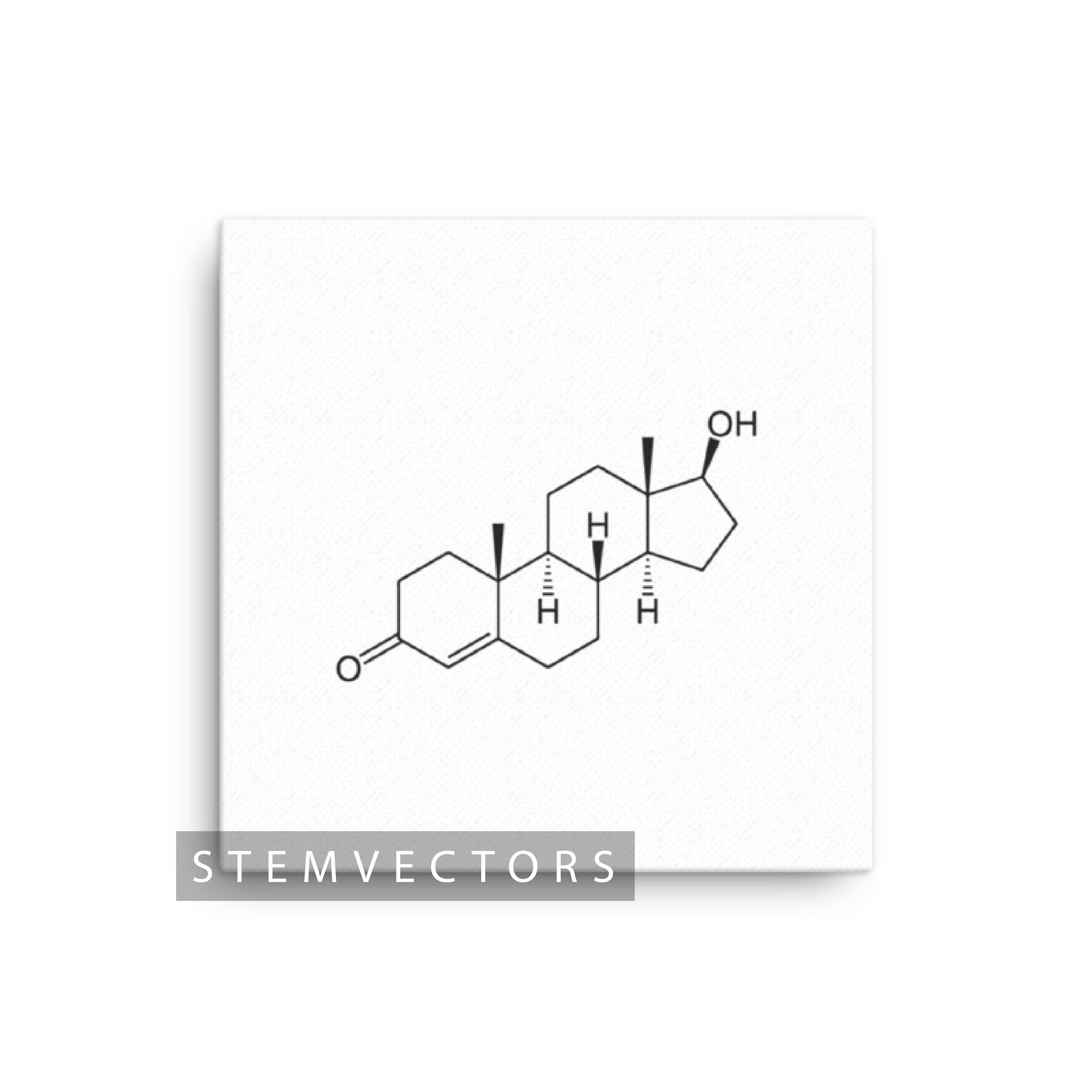 Testosterone Chemical Structure Digital Download Black And Etsy 