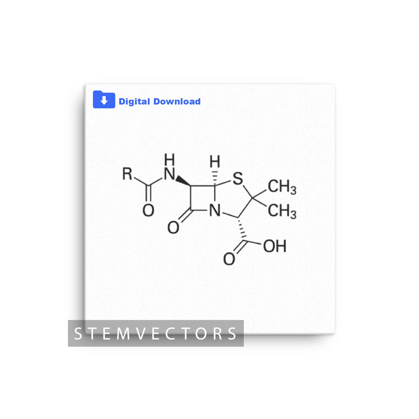 Penicillin Chemical Structure (digital Download) Black and White Vector ...